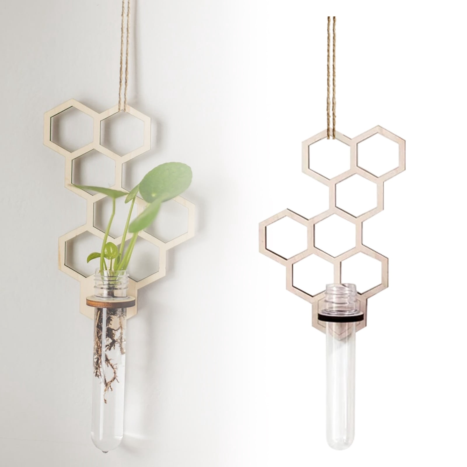 Honeycomb Wall Propagation Station - Plant Propagation Kit with Clear ...