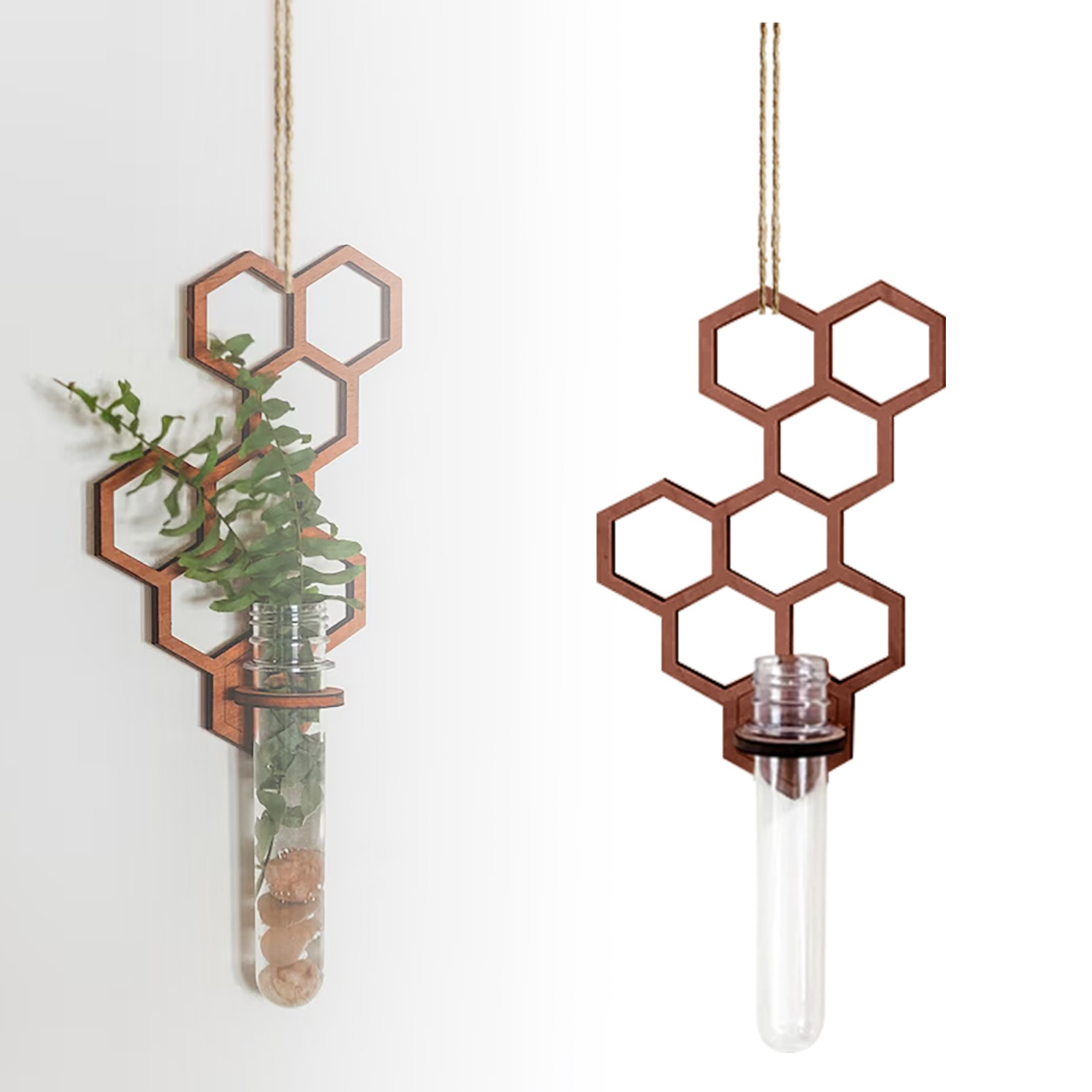 Honeycomb Wall Propagation Station - Plant Propagation Kit with Clear ...