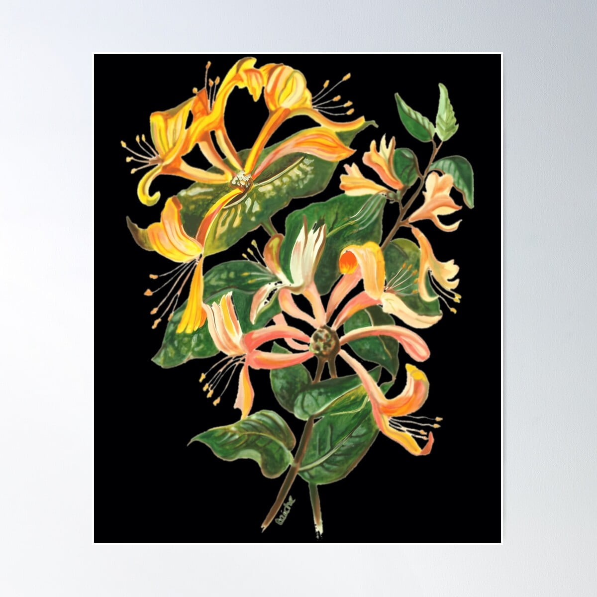 Honeysuckle Botanical Art Cut Out Poster Wall Art, Modern Wall Decor ...