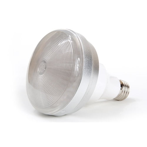 What Does R30 Light Bulb Mean | Shelly Lighting