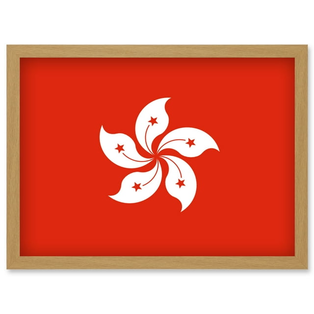Hong Kong National Flag Patriotic Vexillology World Flags Country Region Poster Artwork Framed ...