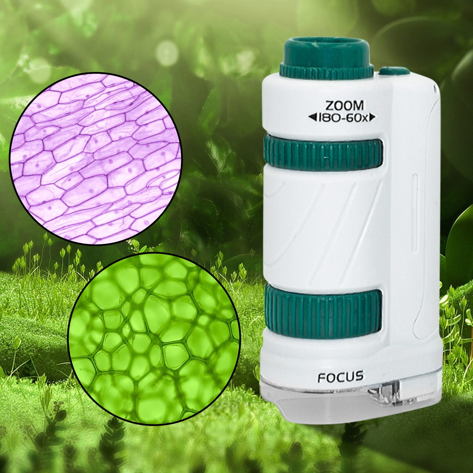 HongHeng Little Marvin Miniscope, Little Marvin Microscope, the Marvin ...