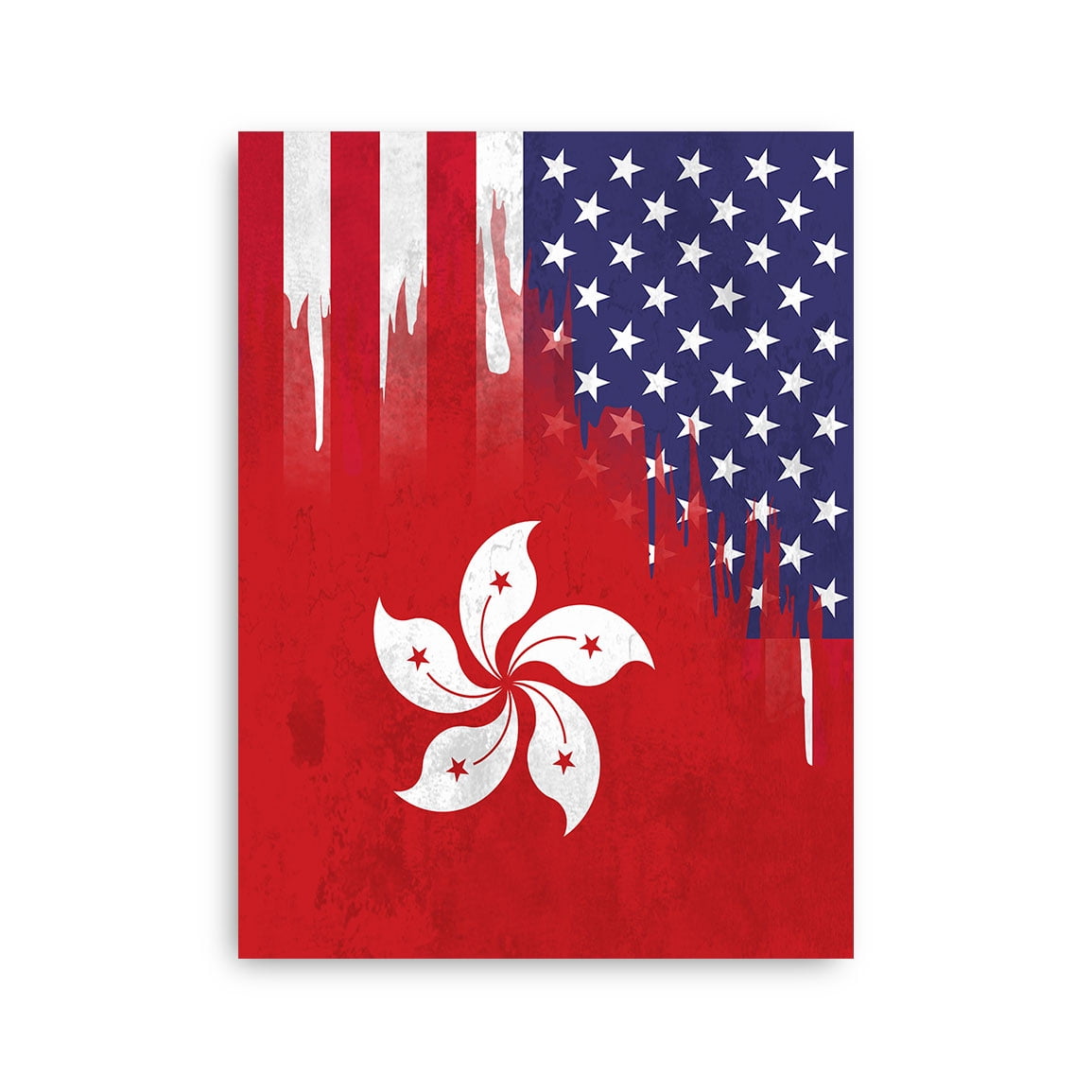 Hongkongers American Flag Wall Art Friendship USA Hong Kong Roots ...