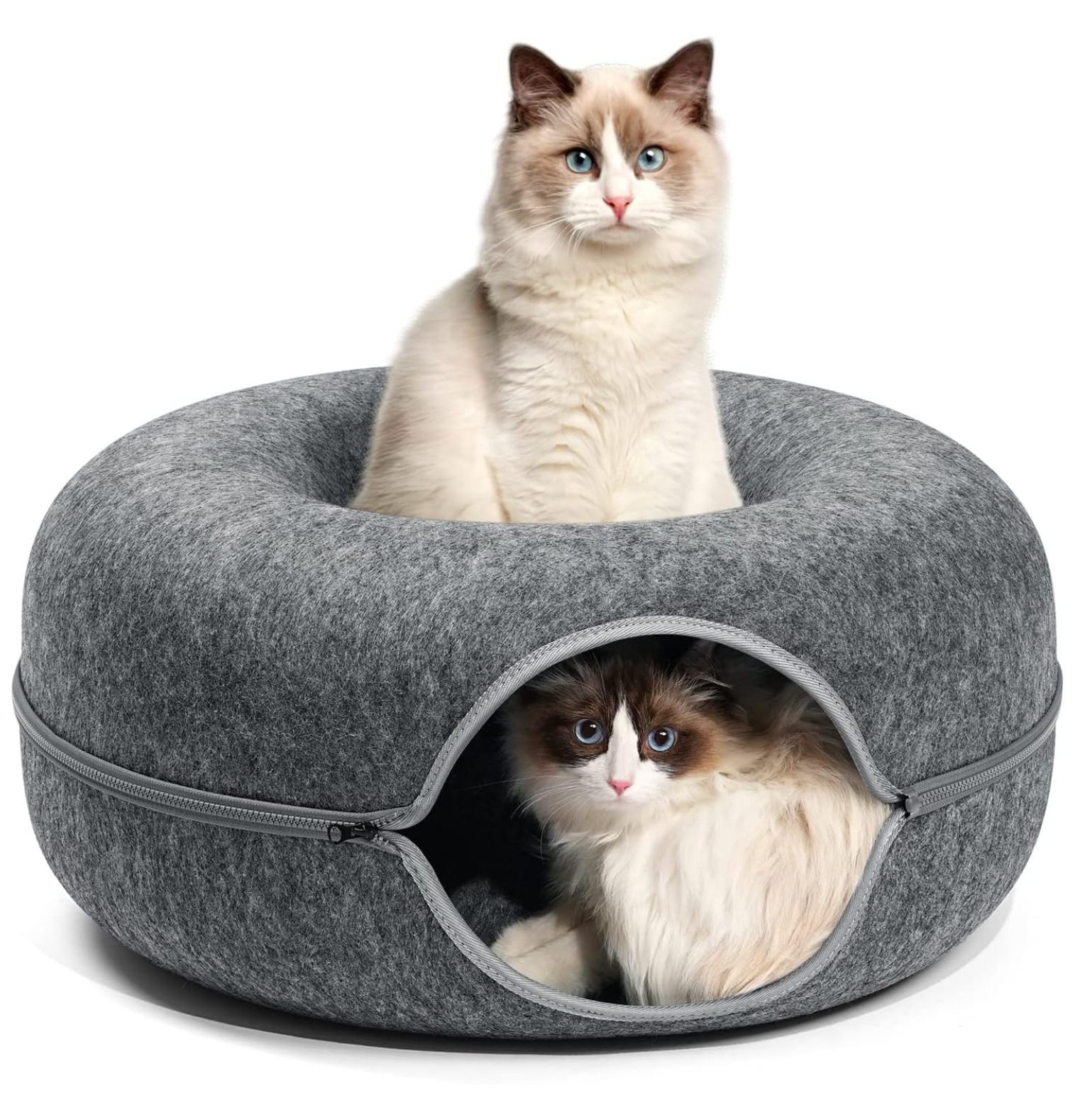 Hongwa Cat Tunnel Bed, Cat Tunnel with Ventilated Window for Indoor ...