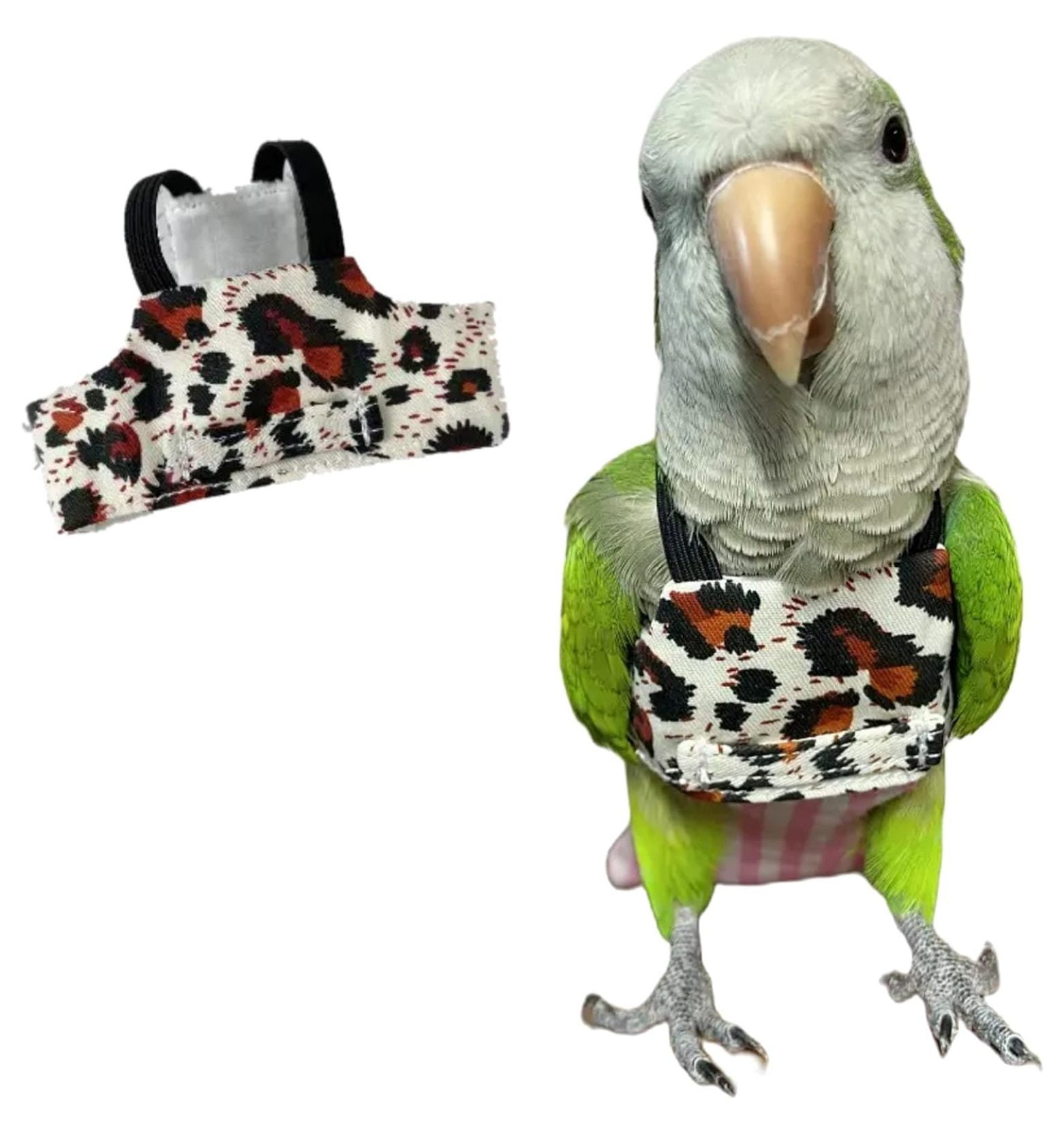 Hongwa Flight Harness Vest, Parrot Flight Suit for Cockatiels Conures ...