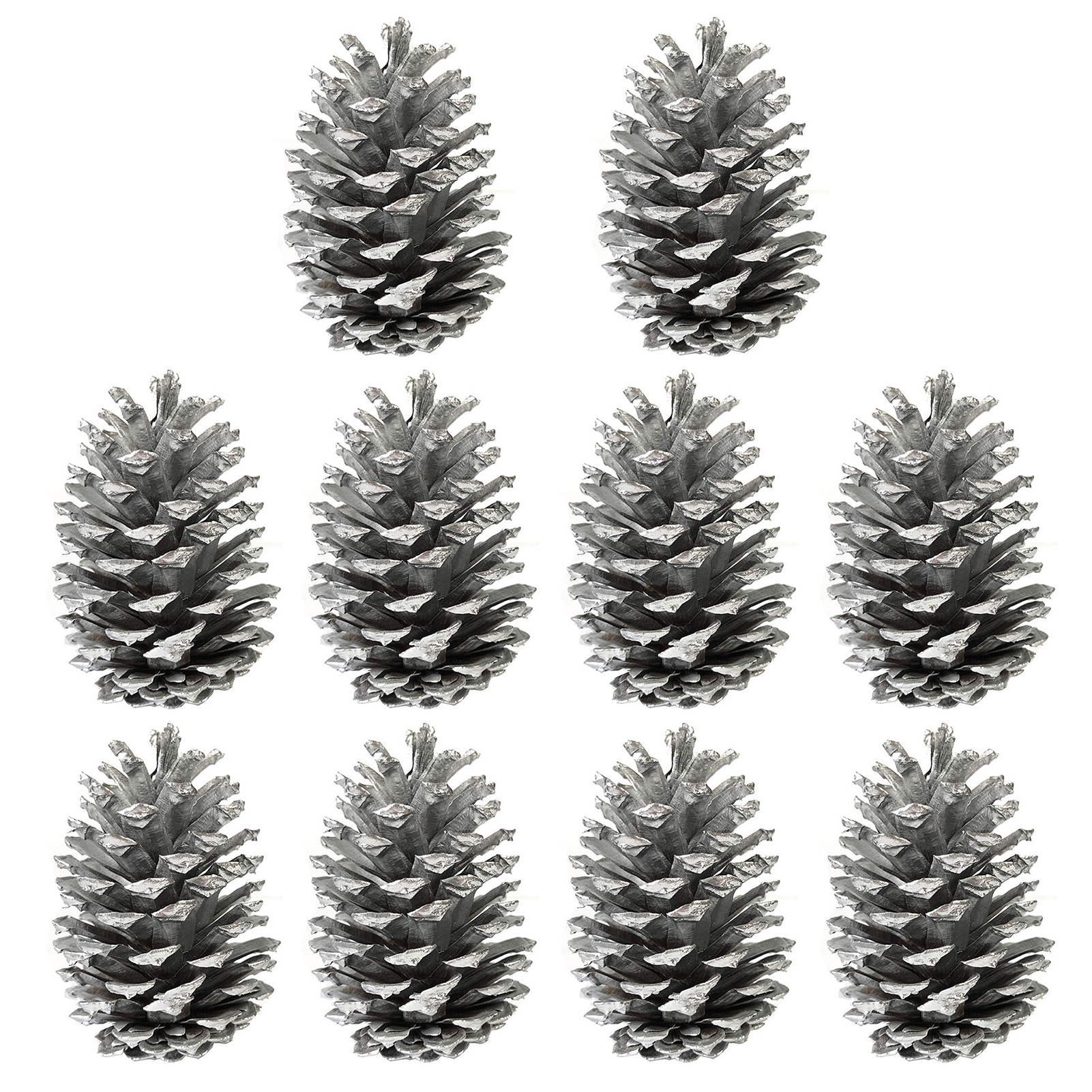 Honrane Christmas Pine Cones Fall Decorations Pine Cones 10pcs Natural ...