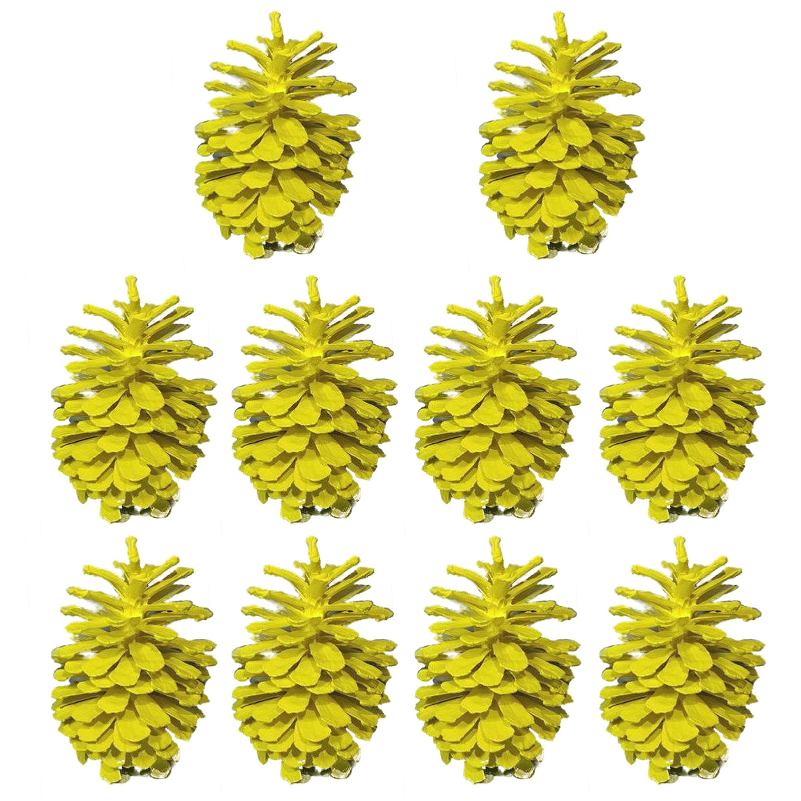 Honrane Christmas Pine Cones Fall Decorations Pine Cones 10pcs Natural ...