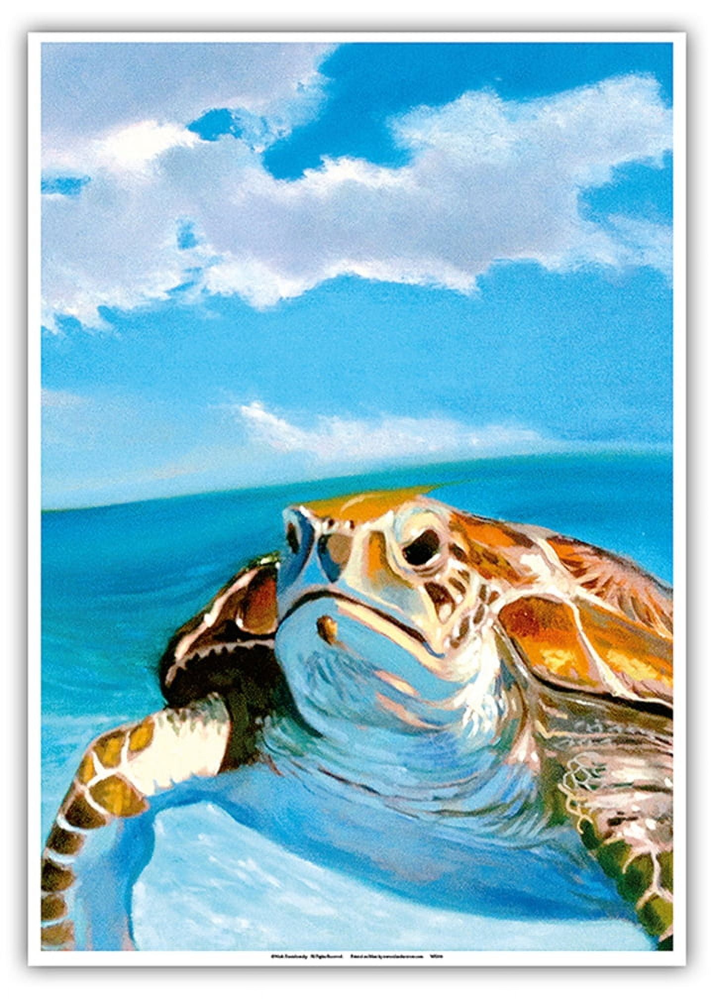 Honu - Hawaiian Sea Turtle - From an Original Color Painting by Wade ...