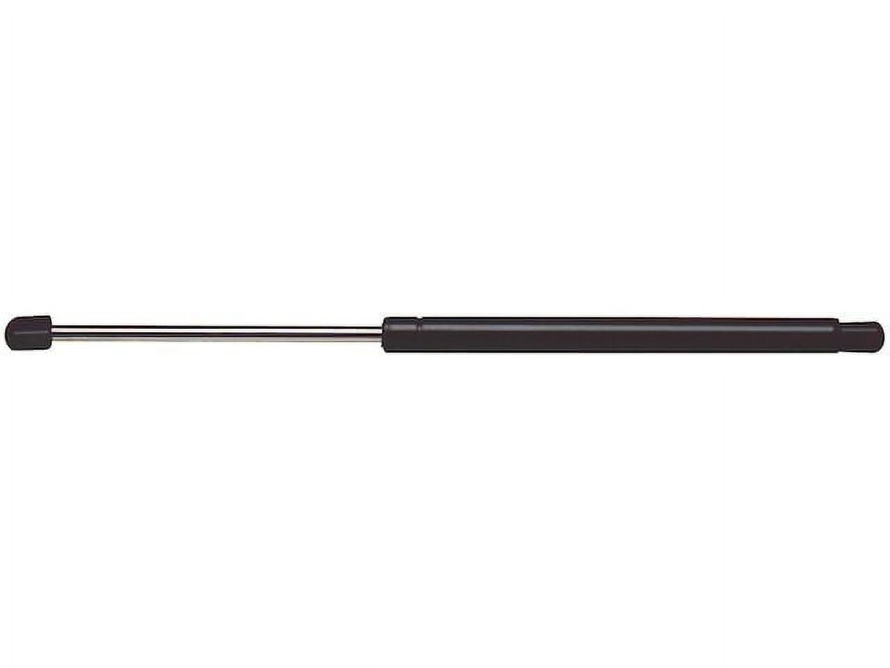 Hood Strut - Compatible with 2010 - 2019 Ford Taurus 2011 2012 2013 ...