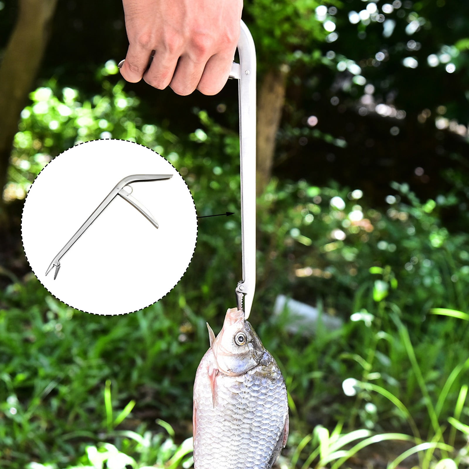 Hook Forceps Catch Eel's Tool Catch Fish Long Mouth Control Catch Fish ...