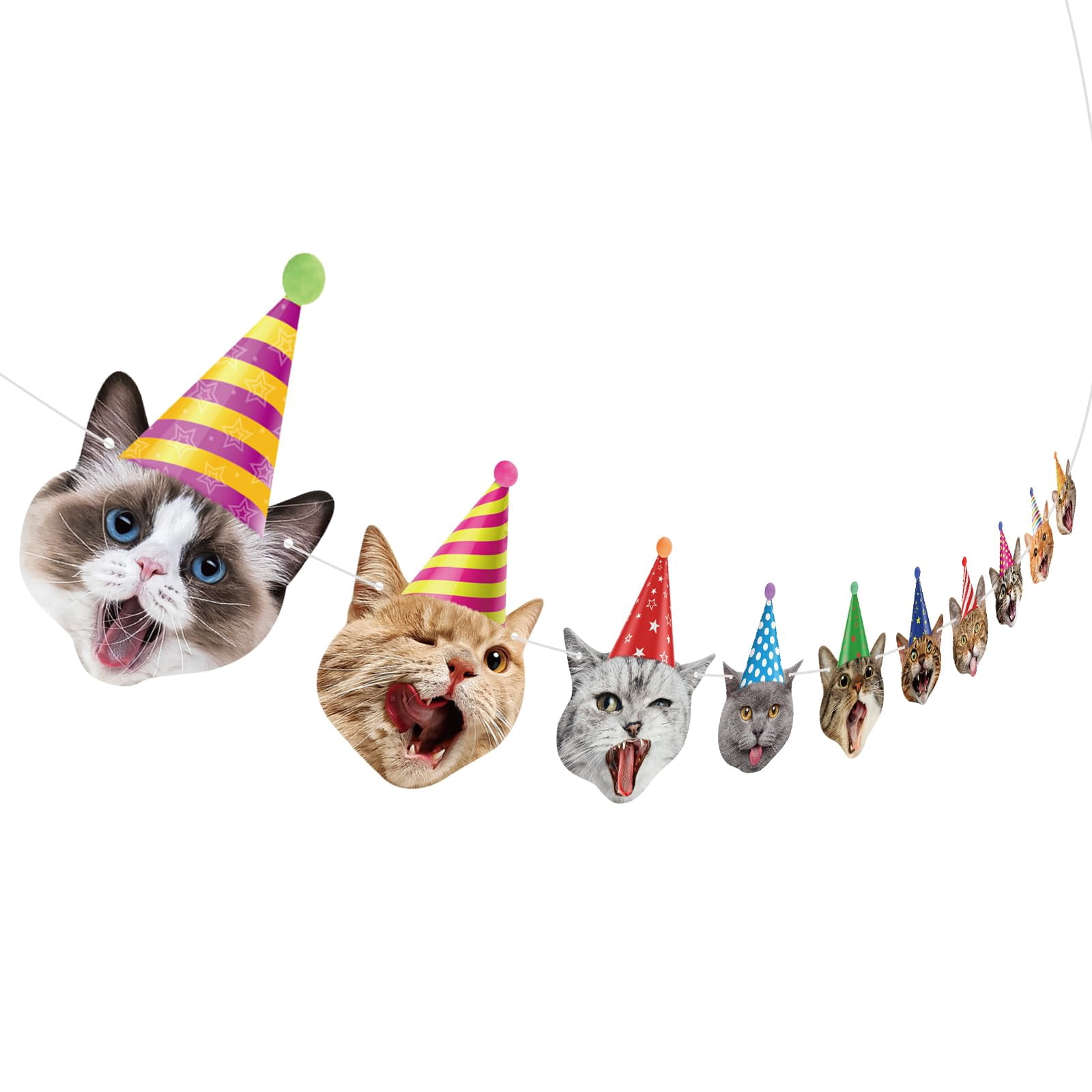 Hooqict Cat Birthday Banner Birthday Party SMRDecorations for Backdrop ...