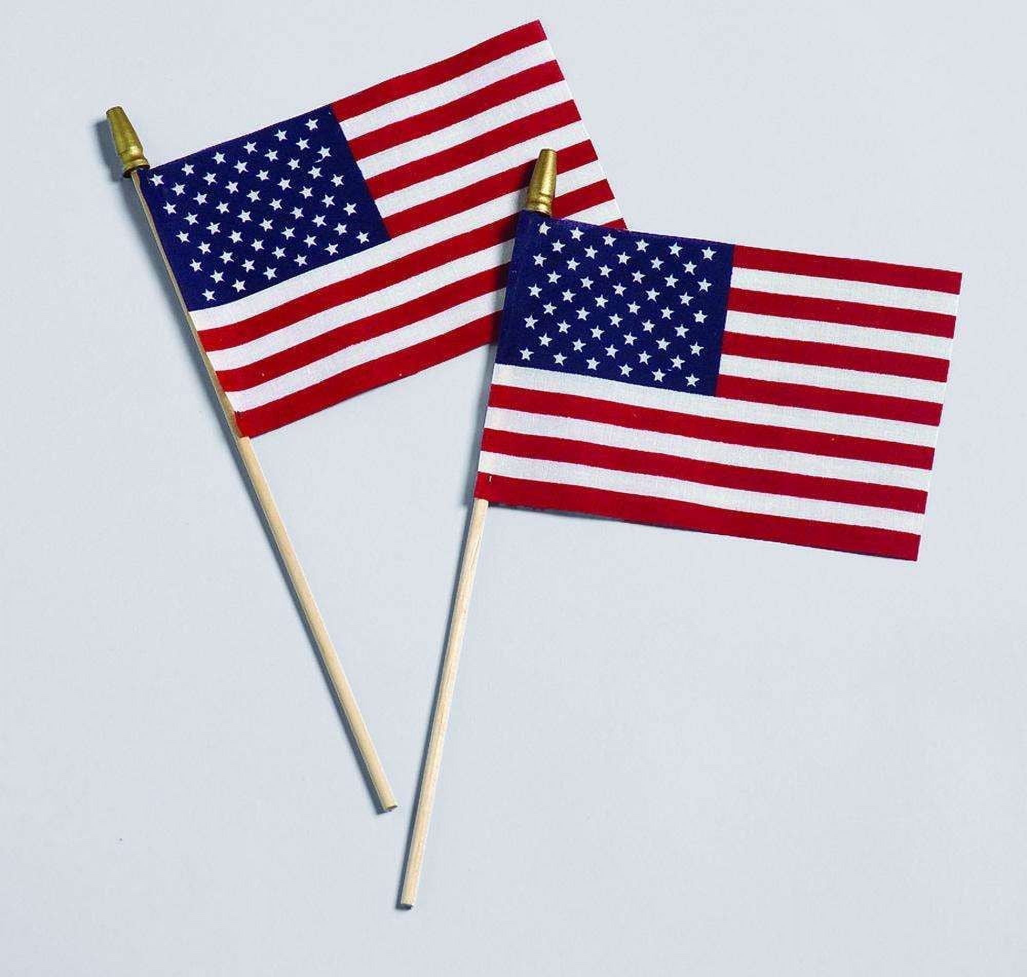 Hooray 12 in x 18 in Cotton Handheld American Stick Outdoor Flags ...