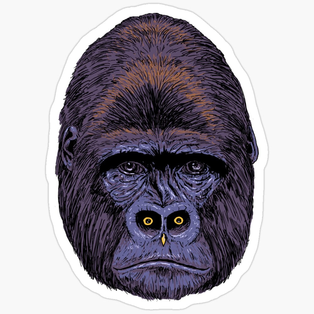 Hooter Snooter Sticker Phone Decal Water Bottle Stickers Car Decals ...