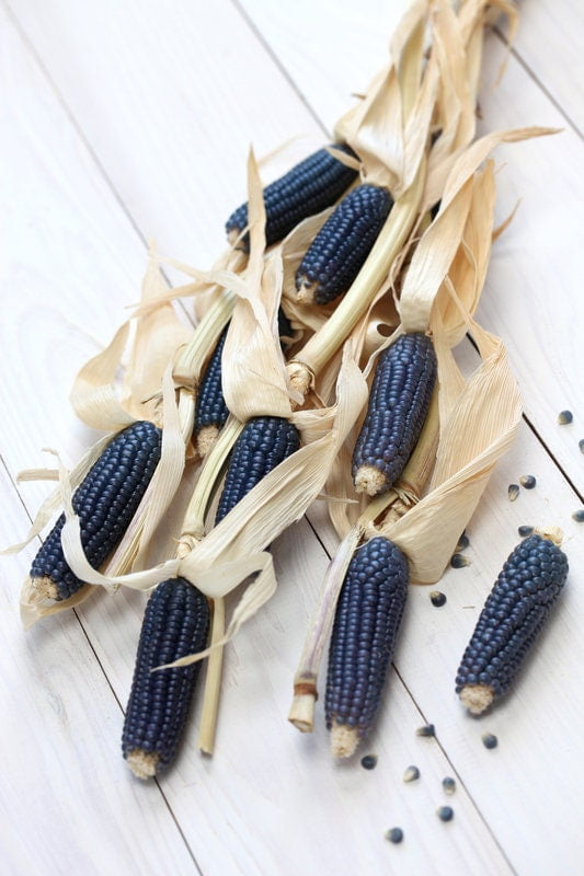 Hopi Blue Dry Field Corn - Walmart.com
