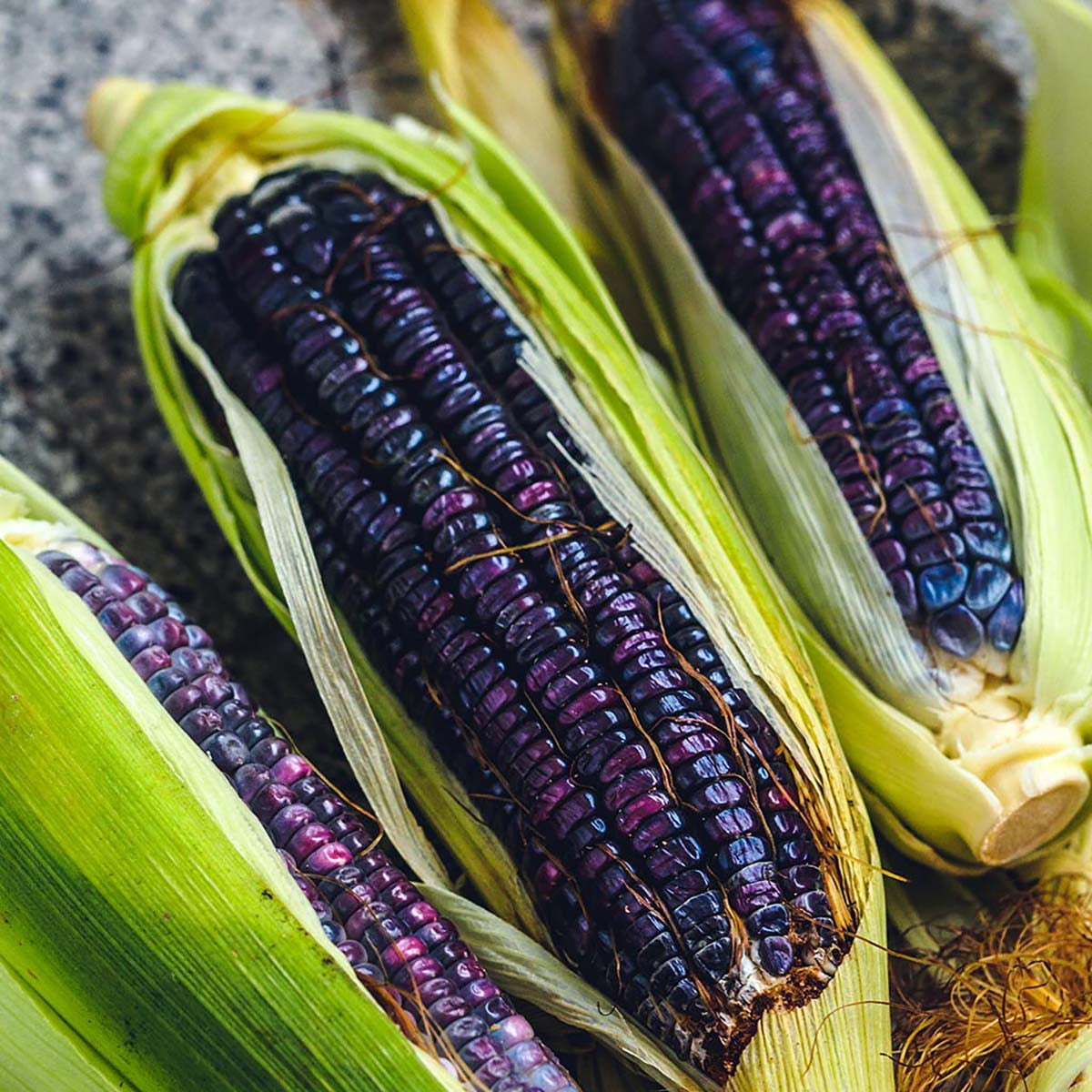Hopi Blue Flour Corn - 100 Seeds - Walmart.com