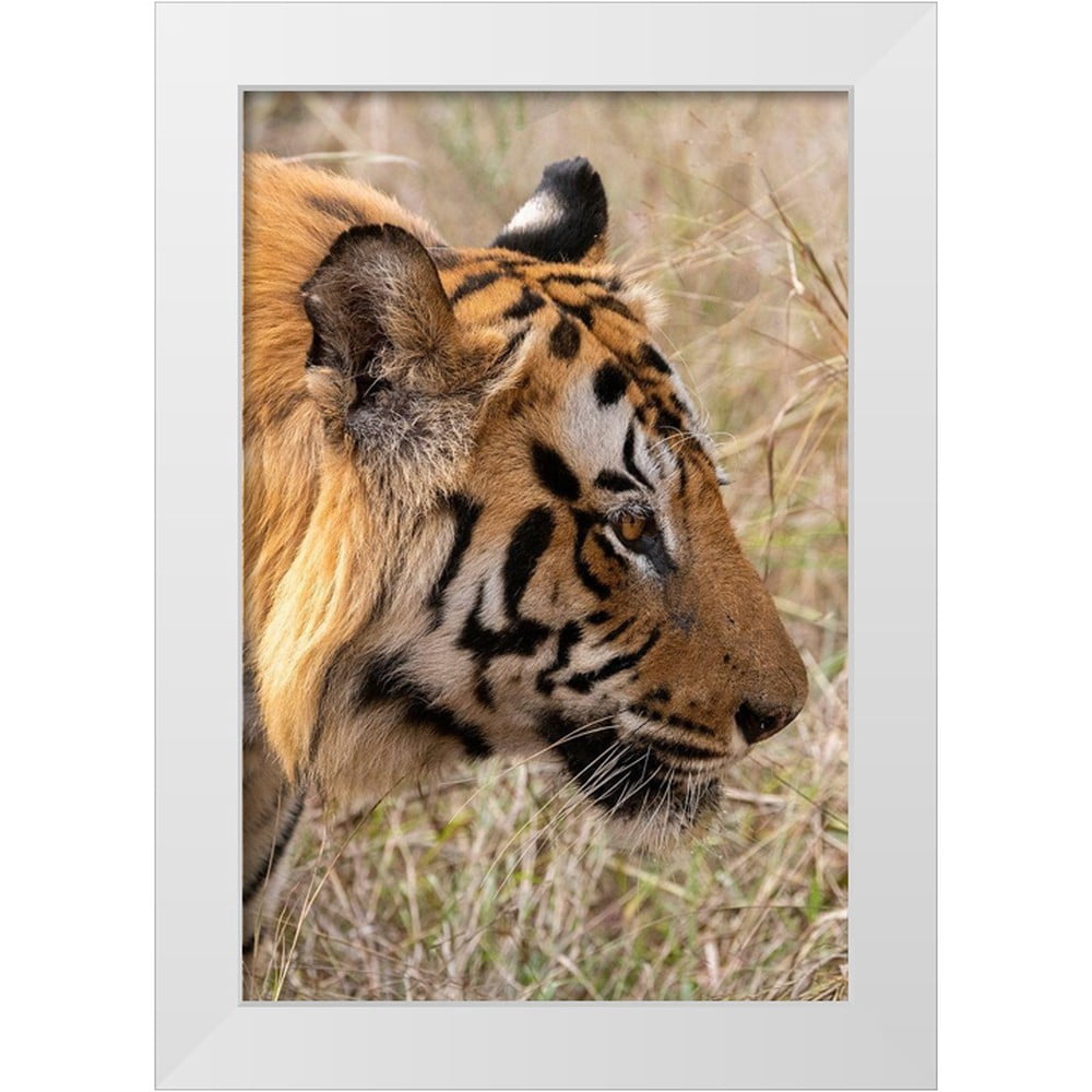 Hopkins, Cindy Miller 11x14 White Modern Wood Framed Museum Art Print ...