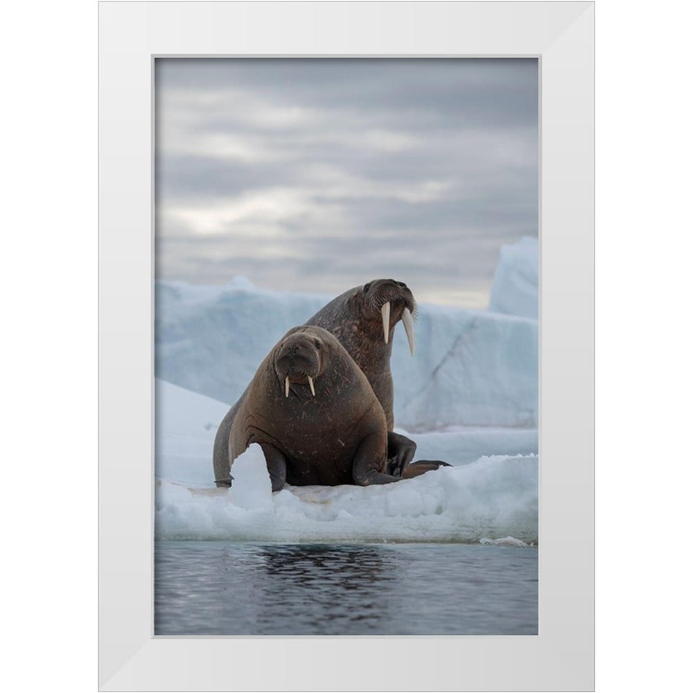 Hopkins, Cindy Miller 11x14 White Modern Wood Framed Museum Art Print ...