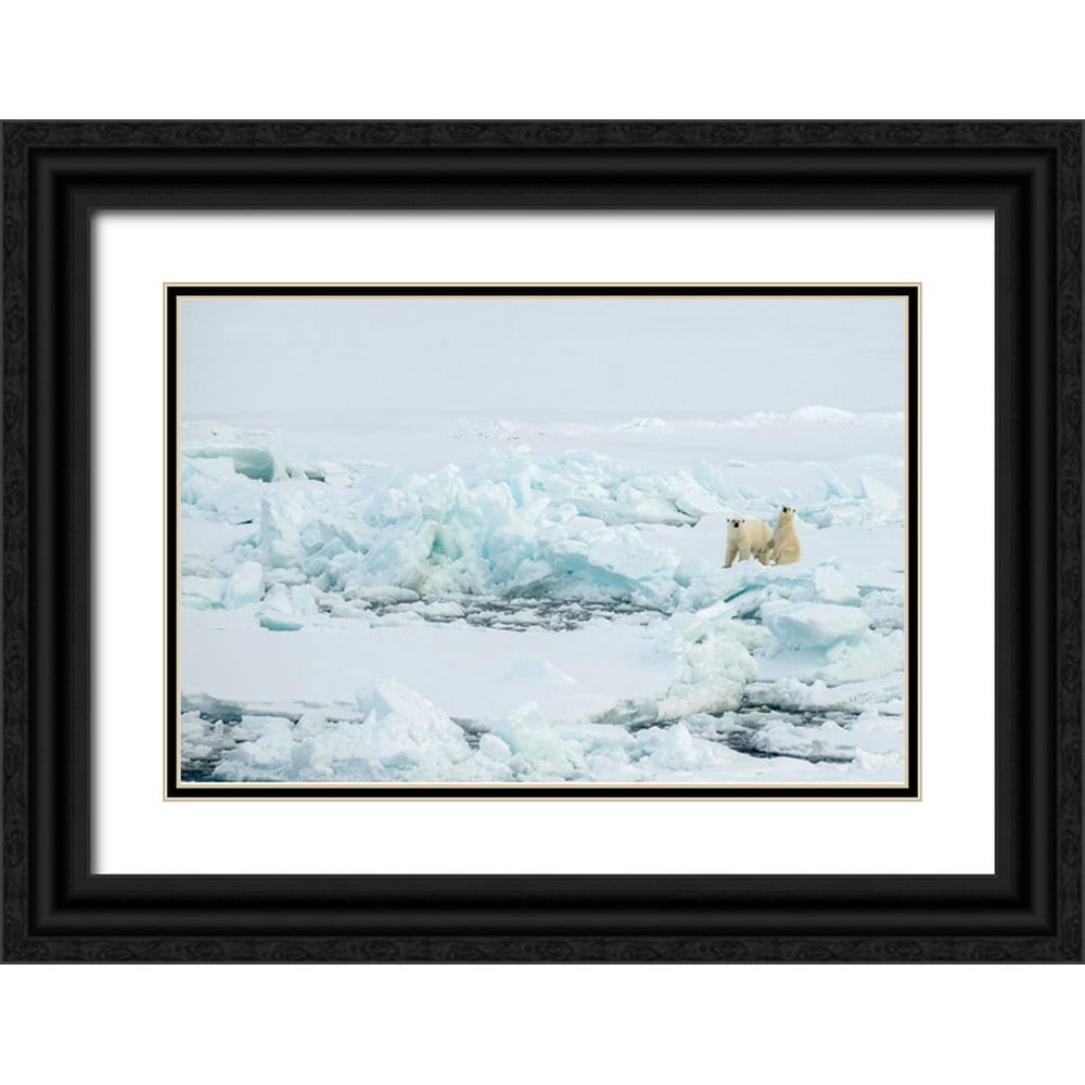 Hopkins, Cindy Miller 14x11 Black Ornate Wood Framed with Double ...