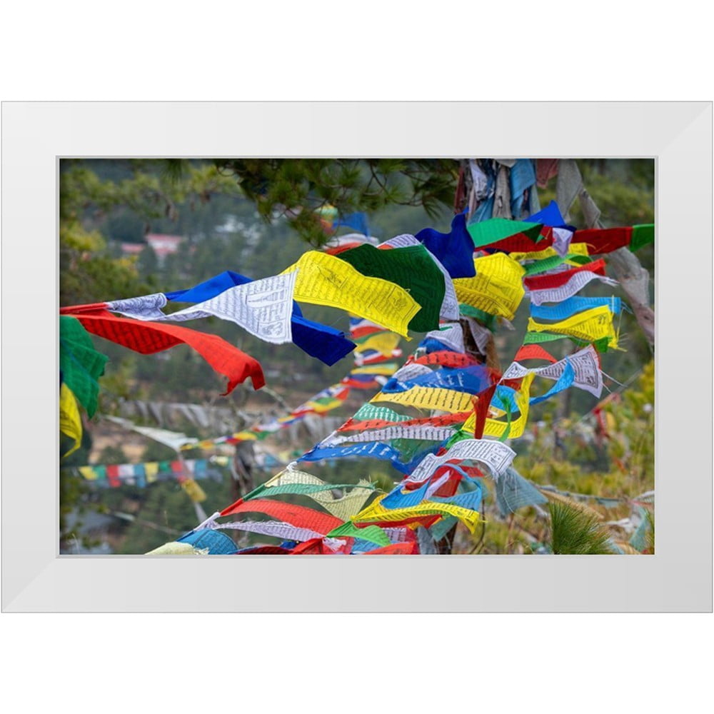 Hopkins, Cindy Miller 18x13 White Modern Wood Framed Museum Art Print ...