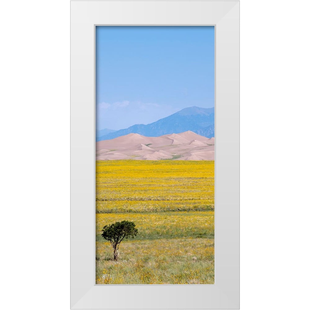 Hopkins, Cindy Miller 9x14 White Modern Wood Framed Museum Art Print ...
