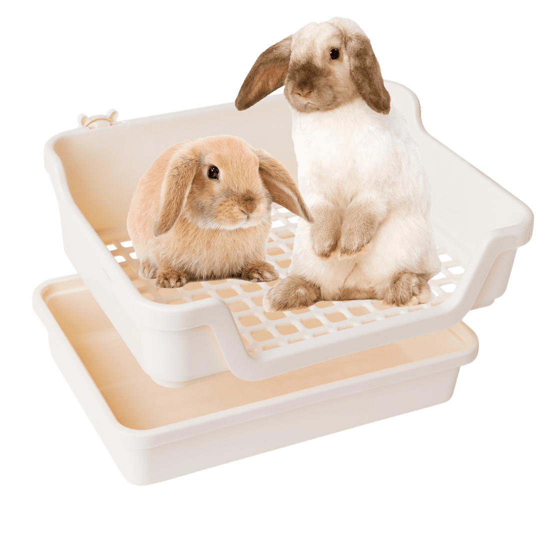 HoppScotch.bun BUMBOX - Large Rabbit Litter Box w/ Plastic Grid & Dump ...