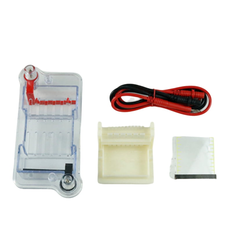 Horizontal Electrophoresis Tank Electrophoresis Tank Biological ...