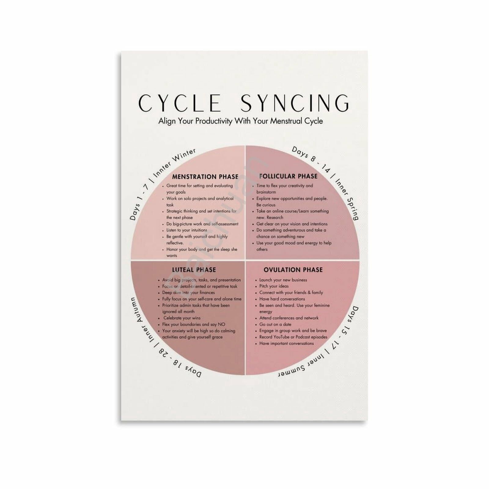 Hormones Of The Menstrual Cycle Poster Menstrual Cycle Guide (10 ...