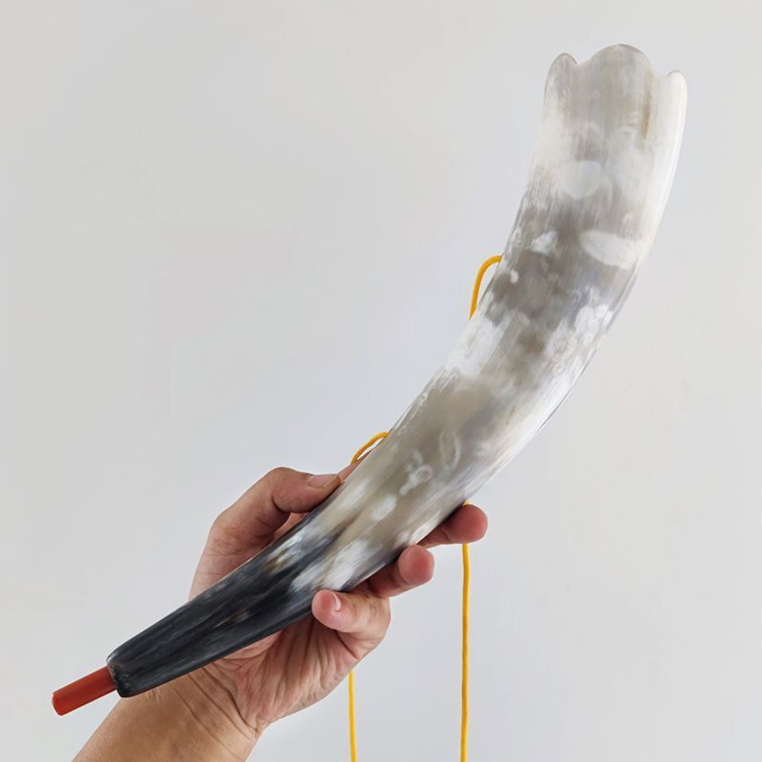 Horn Bugle Wind Instrument Chinese Ethnic Miao Folk Craft Handmade ...