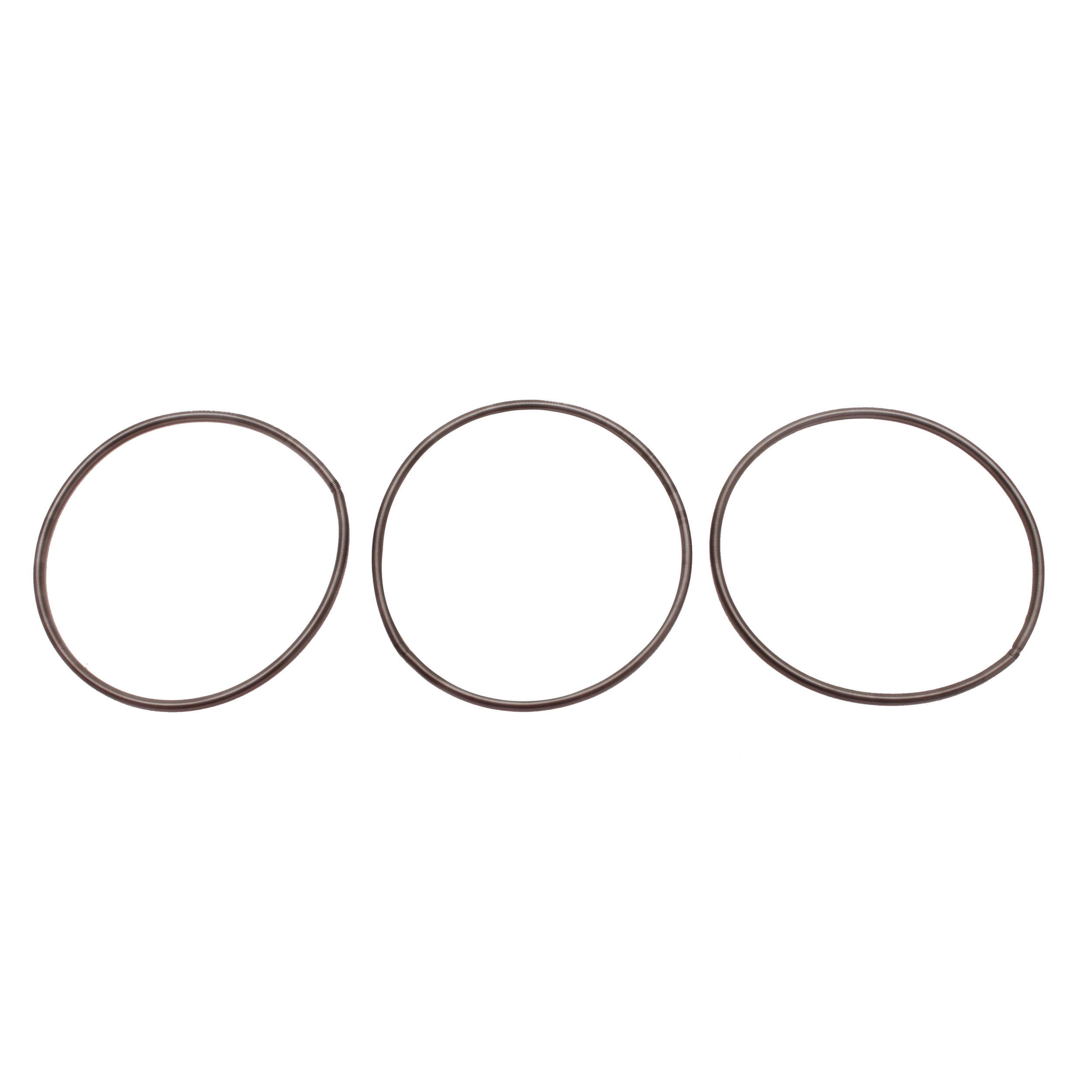 Hornady Lock-N-Load AP Progressive Press Case Retainer Spring, Package ...