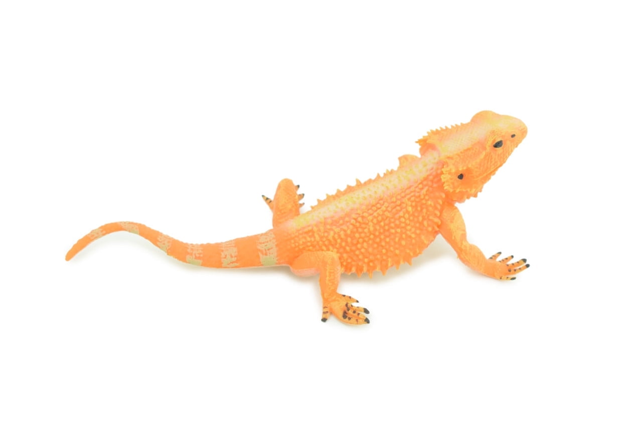 Horny Toad, Horned Lizard, Museum Quality, Educational, Hand Painted ...