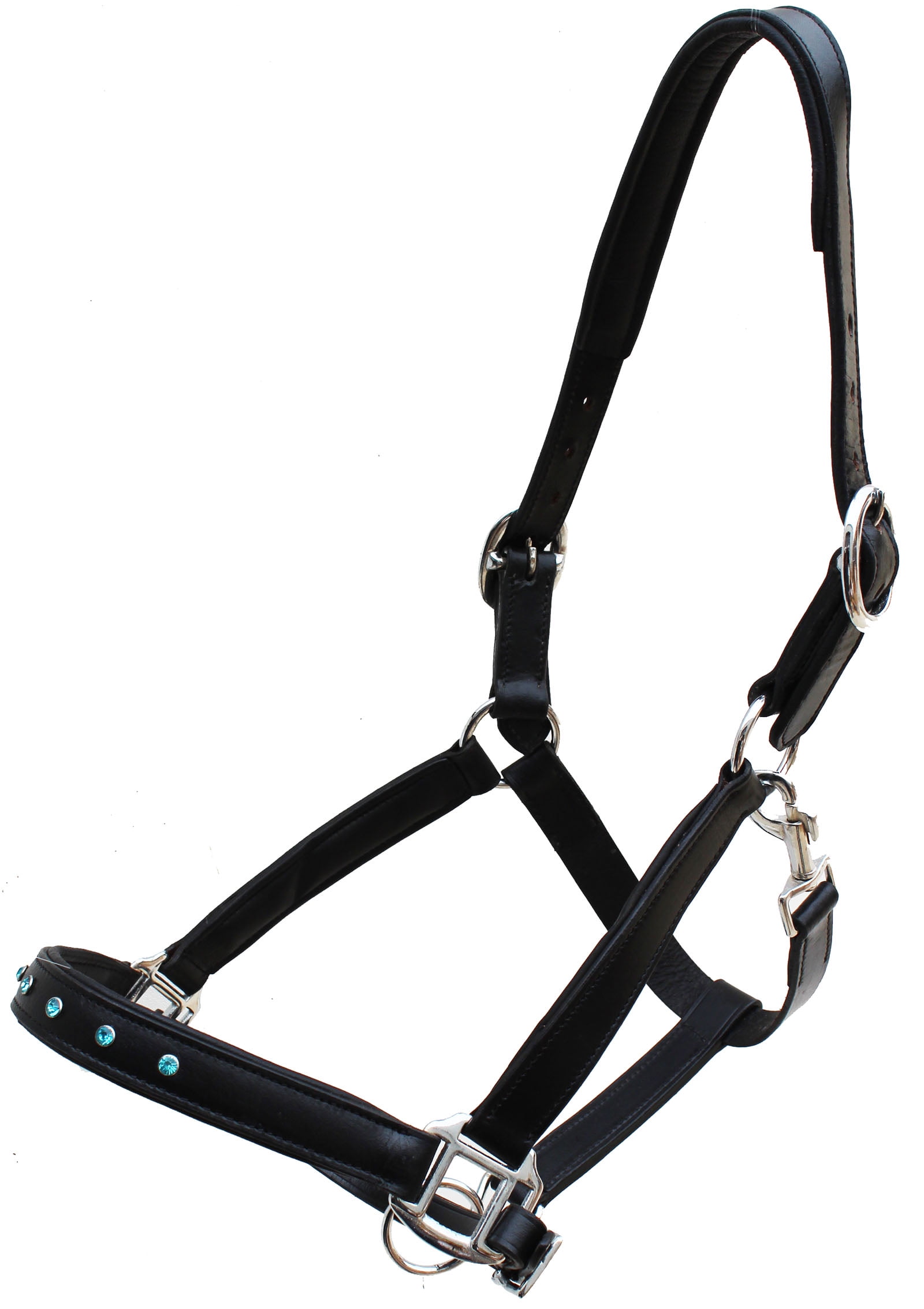 Horse Black Leather Padded Show Halter w/ Turquoise Rhinestones ...