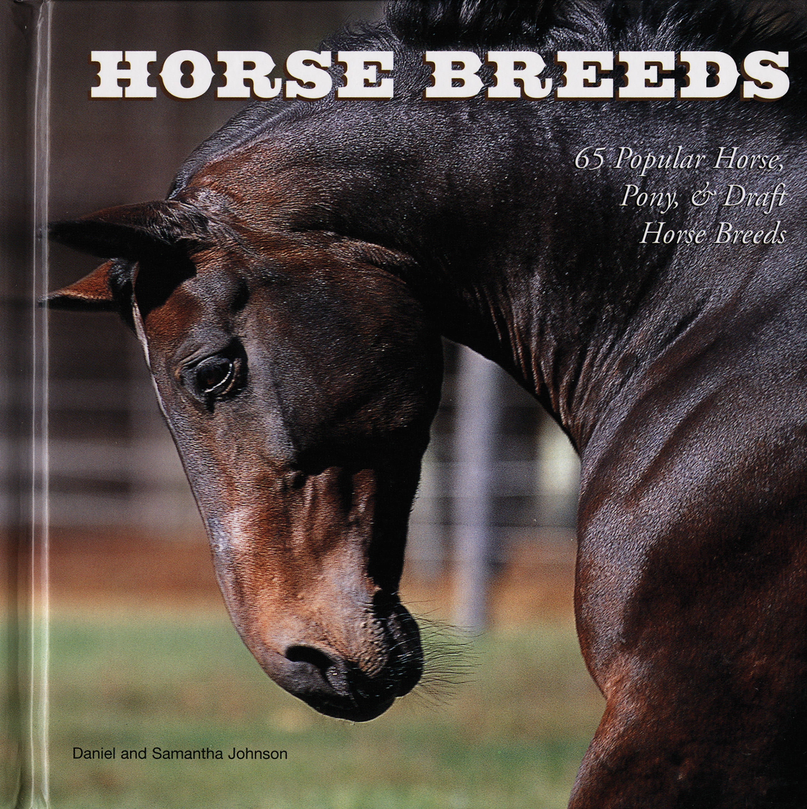 Horse Breeds - Walmart.com