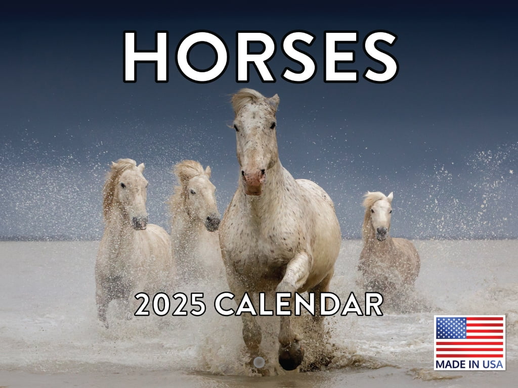 Horse Calendar 2025 Horses Monthly Wall Calender 12 Month | American ...