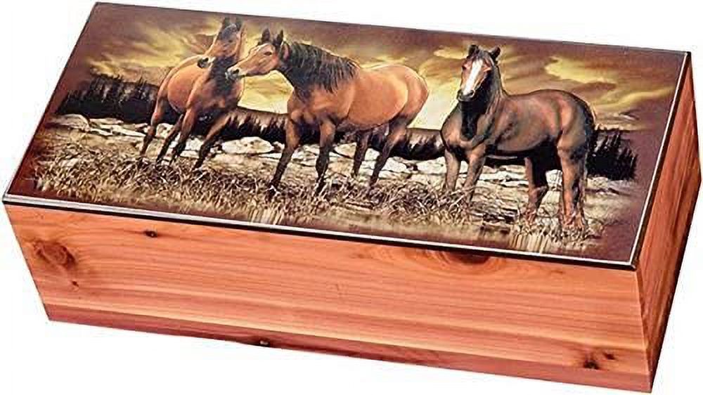 Horse Chest Box, 4"x9 1/2" 4214 - Walmart.com