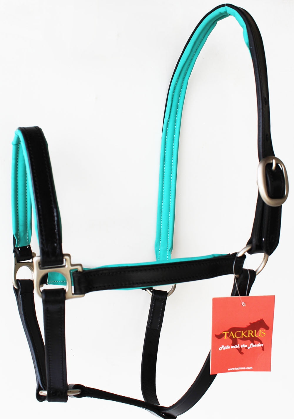 Horse English Padded Leather Western Show Halter Turquoise Full ...