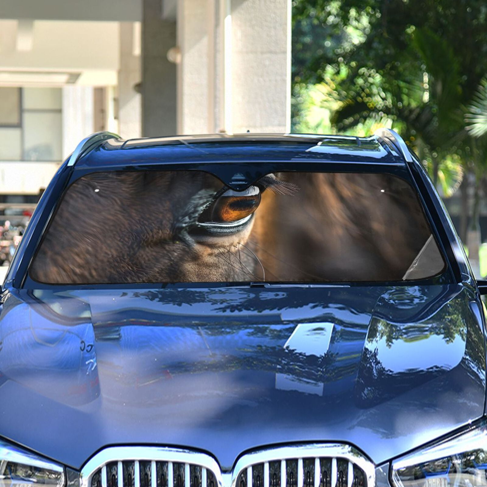 Horse Eye Automotive Front Car Windshield Sun Shade Reflector Foldable ...