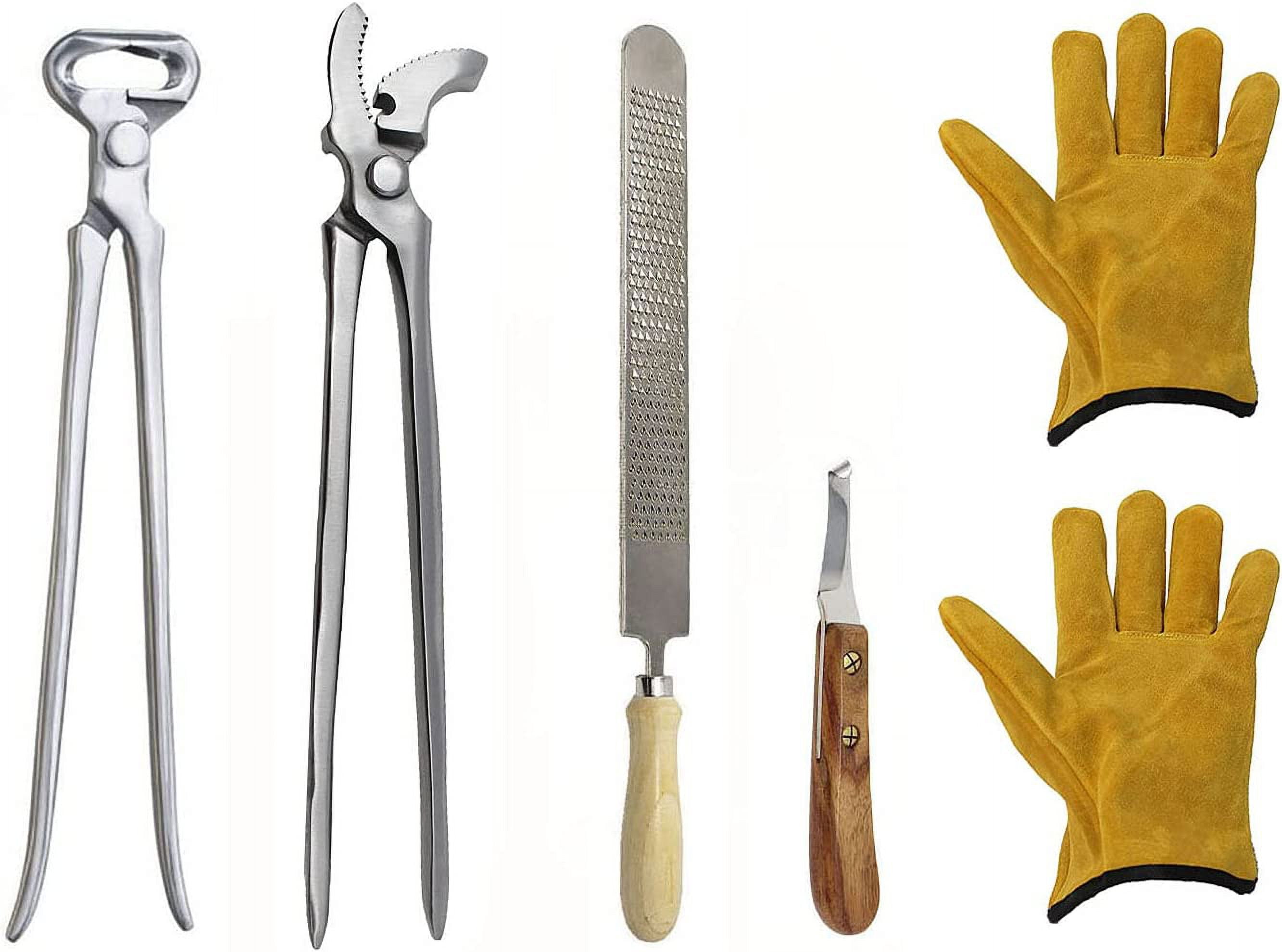 Horse Farrier Tool Horse Farrier 5-Piece Groom Hoof Care Trim Tool Kit ...