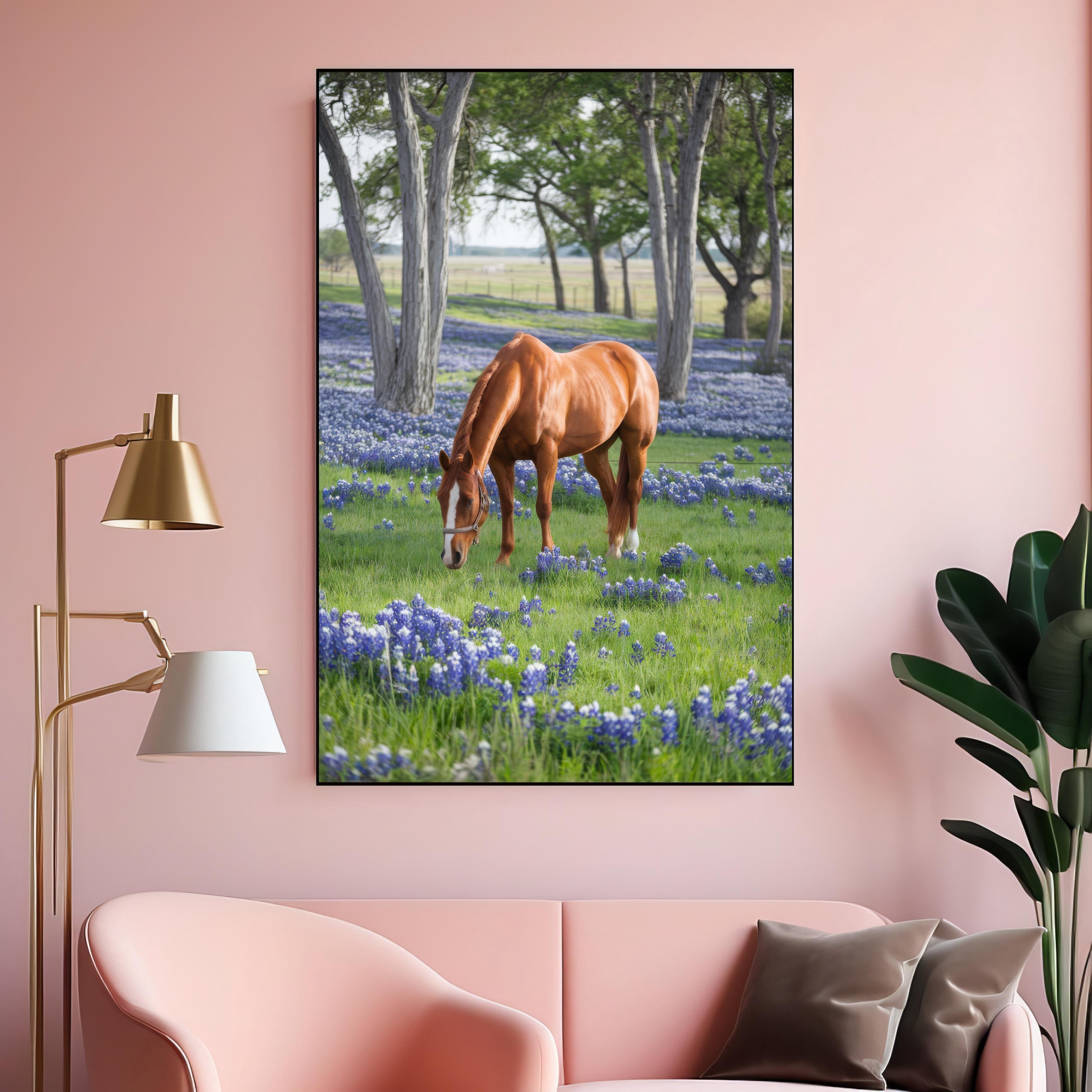 Horse Grazing in a Field Bluebonnet Flowers Photo Laminated Poster ...