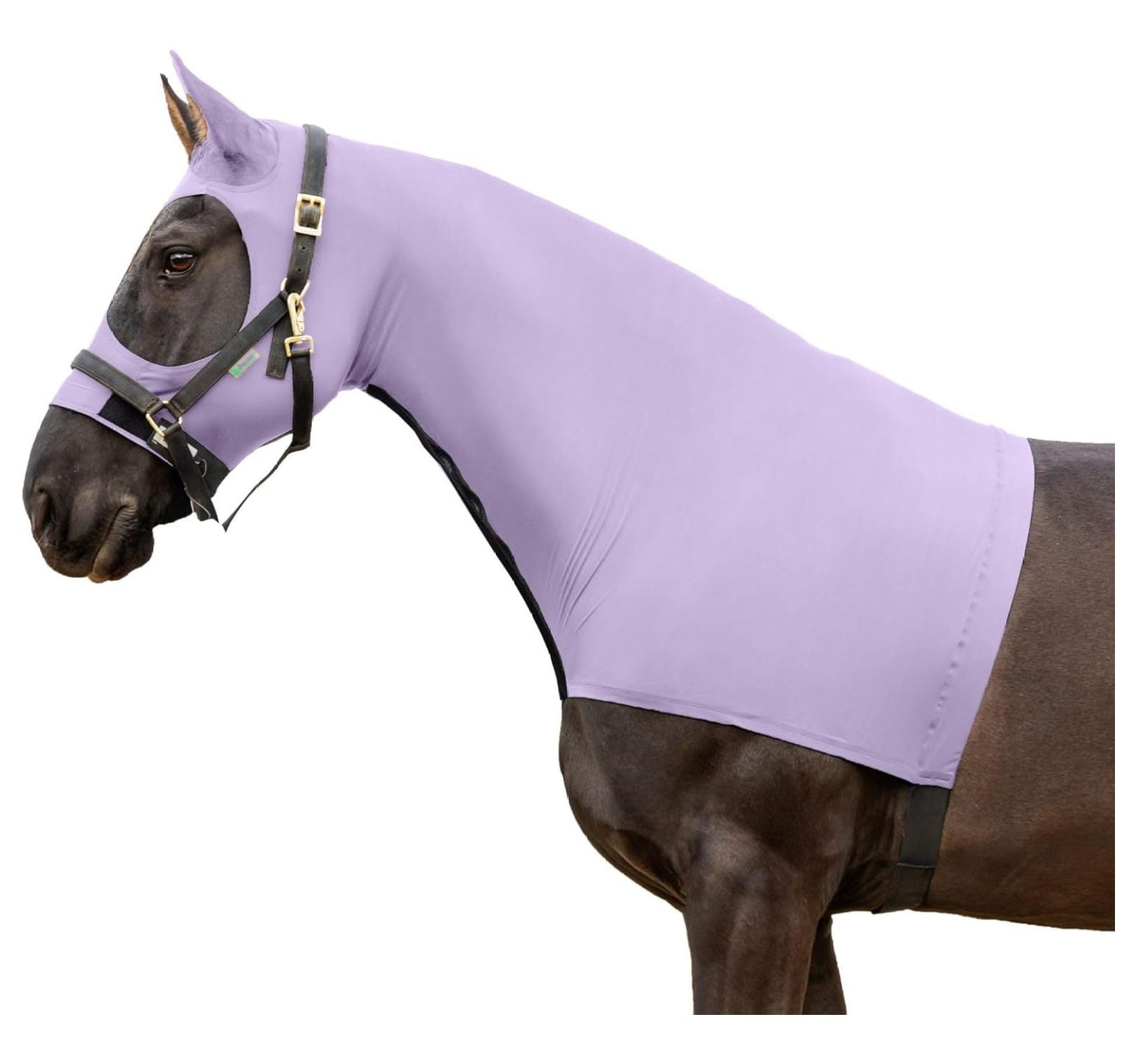 Horse Hood Lycra Zippered Mane Braid Shoulder Guard - Horse Sleazy Slickers Care Sheet - Walmart.com