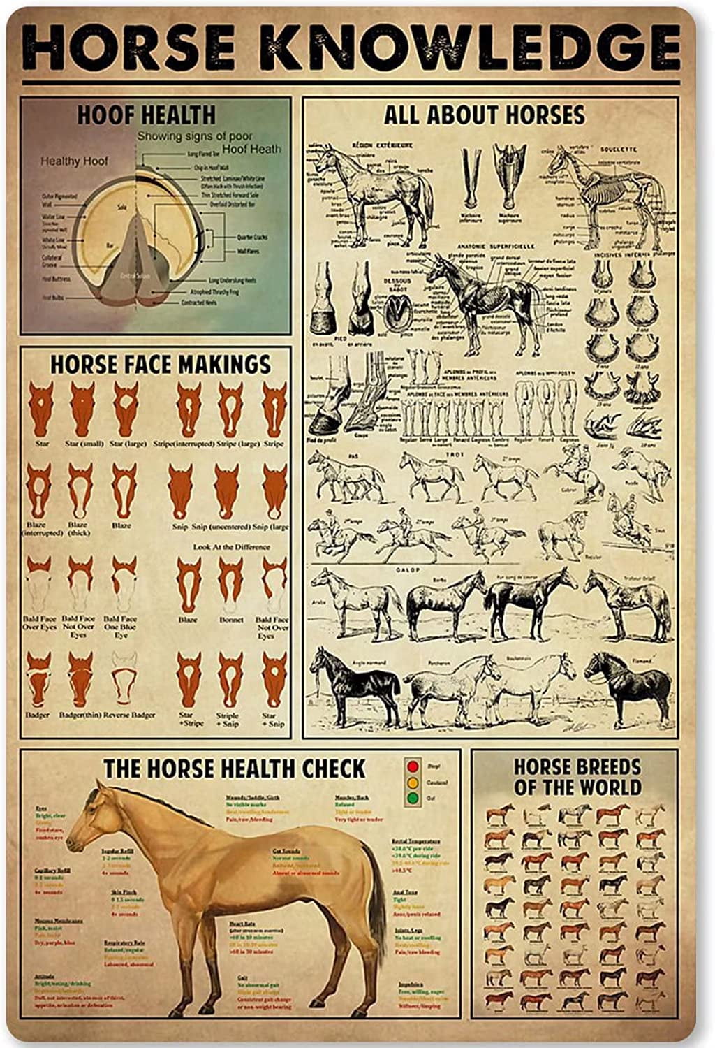 Horse Knowledge Metal Tin Signs Retro All About Horses Poster Horse ...