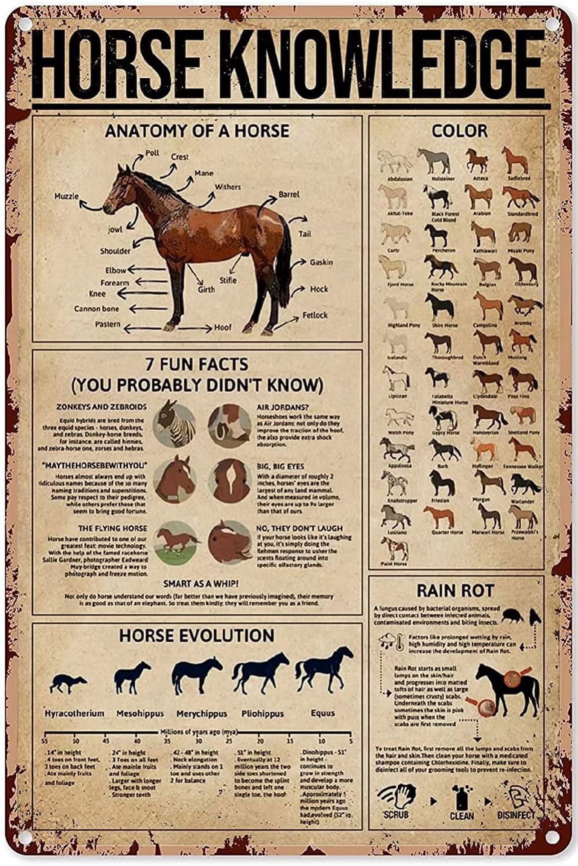 Horse Knowledge Vintage Retro Collectible tin Sign Wall Decoration Poster Home bar Restaurant ...
