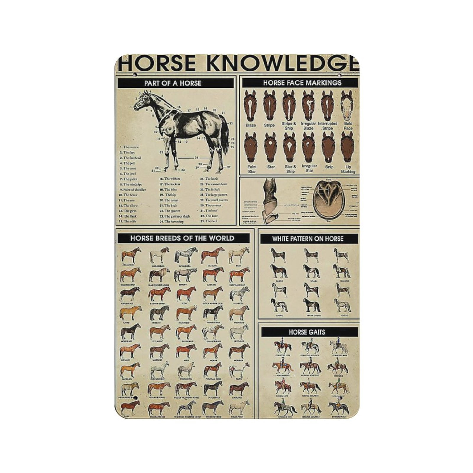Horse Knowledge tin sign, Horse Breeds tin sign, Vintage Horse Wall Art ...