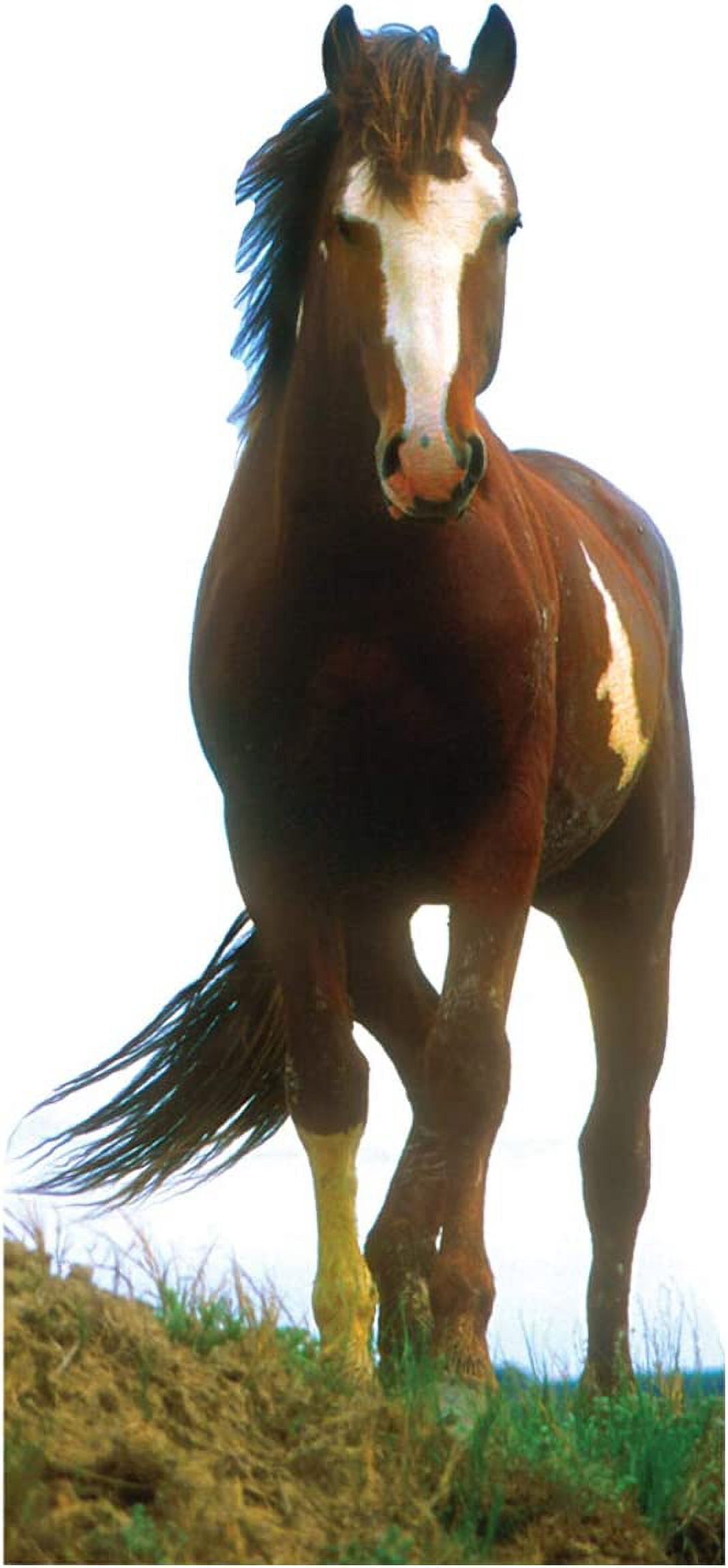 Horse Life Size Cutout Standup - Walmart.com
