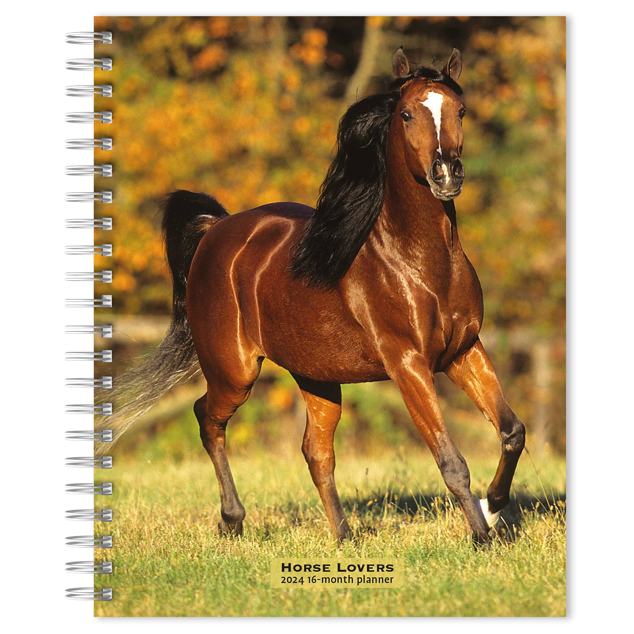 Horse Lovers | 2024 6x7.75" Wire-O Engagement Planner Calendar ...
