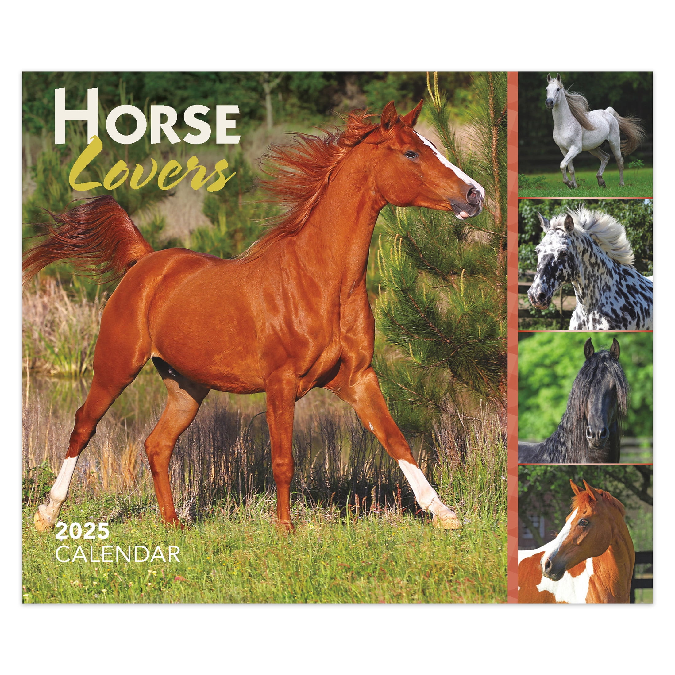 Horse Lovers | 2025 6x5" Desktop Box Calendar | BrownTrout - Walmart.com