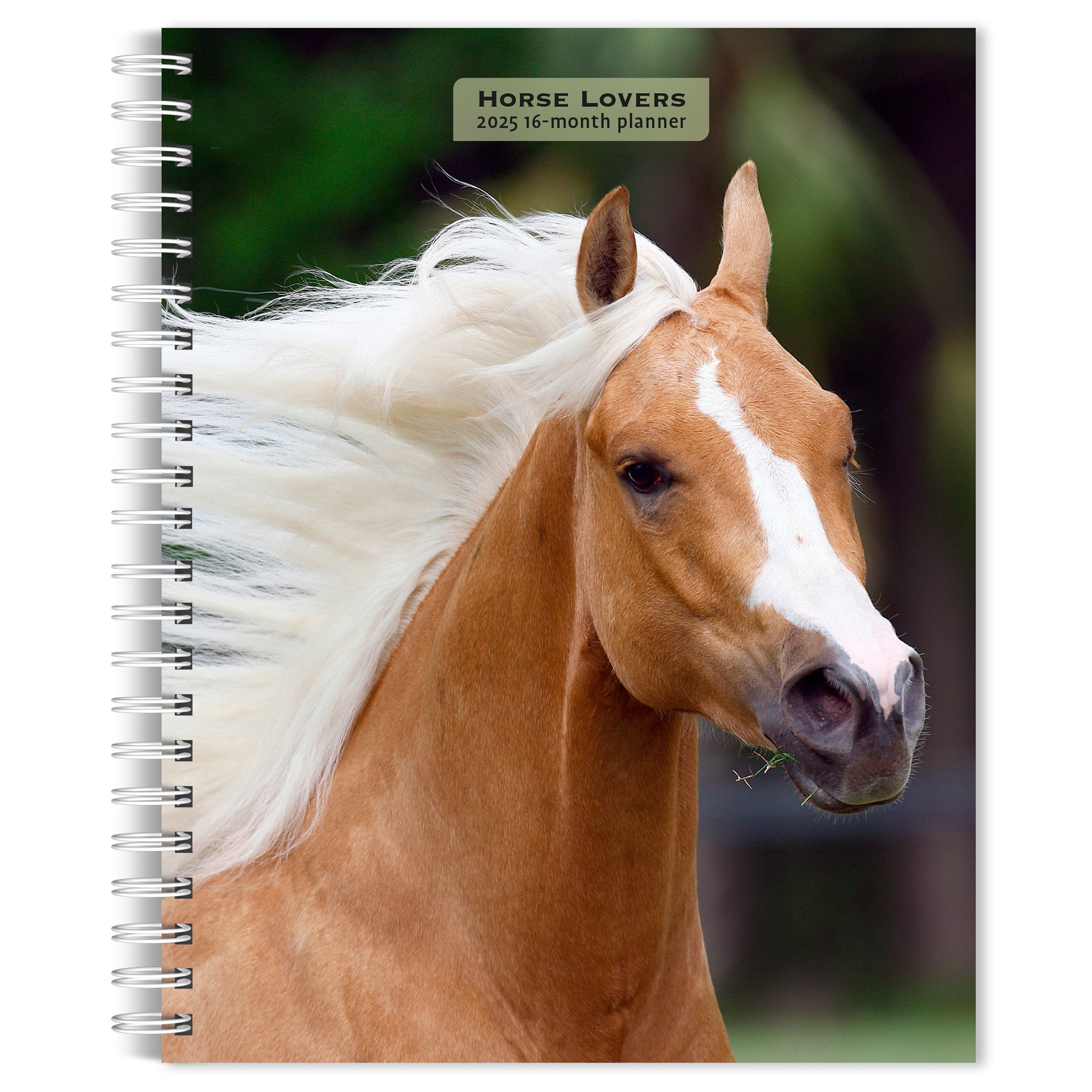 Horse Lovers | 2025 6x7.75" Spiral-Bound Engagement Planner Calendar ...