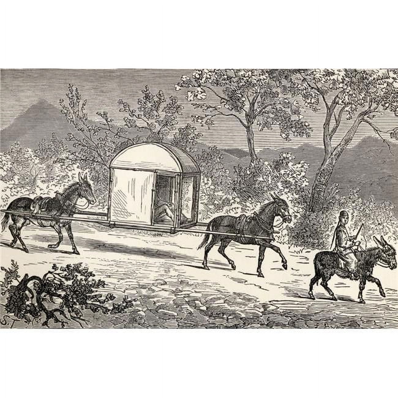 A Horse & Mule Palanquin Used By The Chinese Aristocracy In China In ...