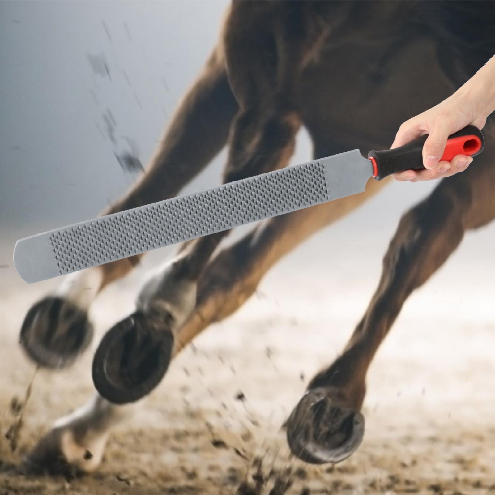 Horse Rasp, Horse Hoof Trimming File Carbon Steel Horse Rasp Horse Hoof ...