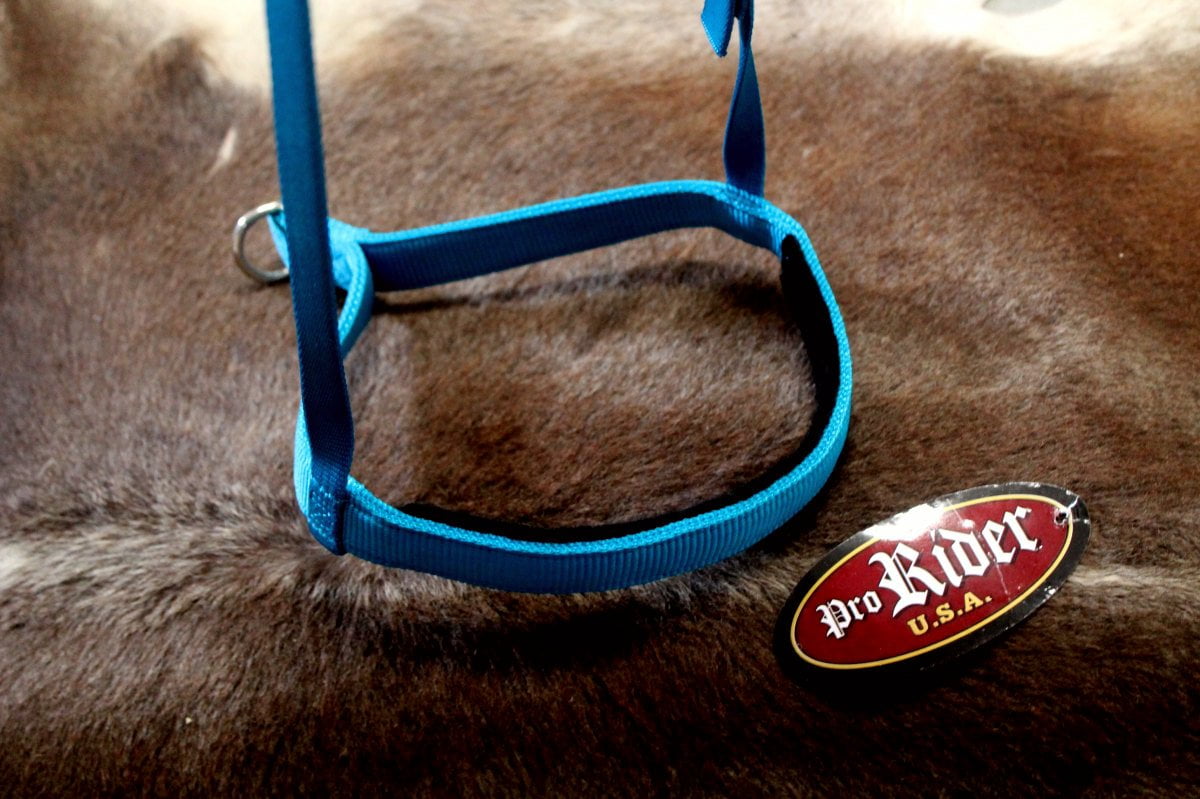 Horse Show Bridle Western Leather Barrel Racing Tack Rodeo NOSEBAND ...