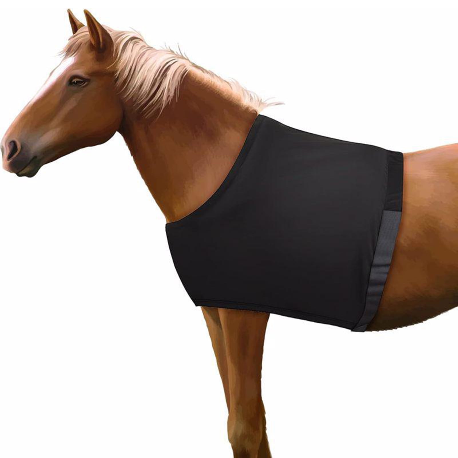 Horse Stretch Vest Anti Rub Bib Wither Shoulder Guard Horse Chest Saver ...